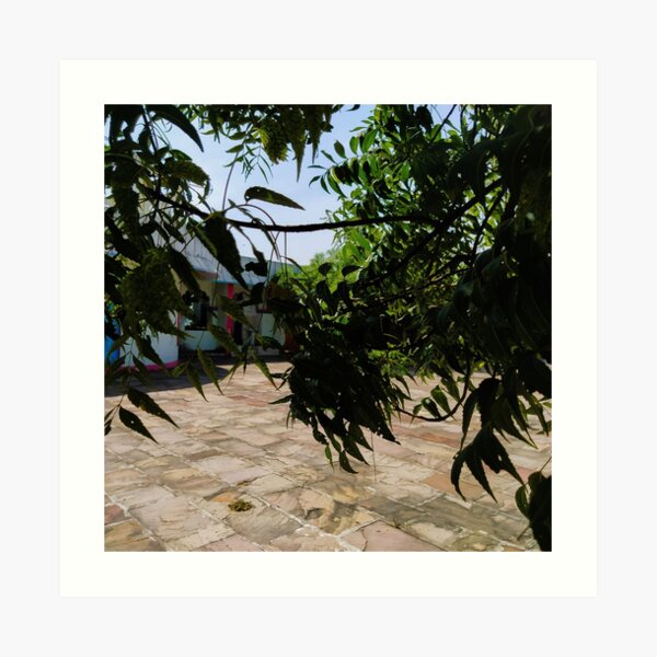 "Red Bubble,Art design work, Nature photography,new innovative ...