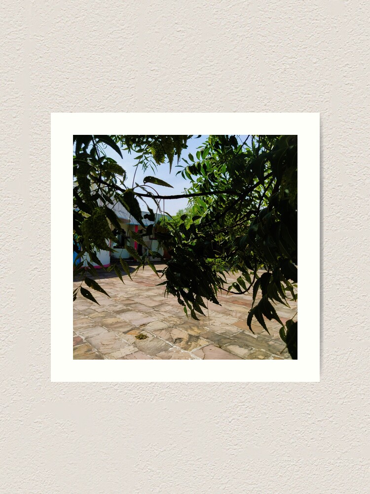 "Red Bubble,Art design work, Nature photography,new innovative ...