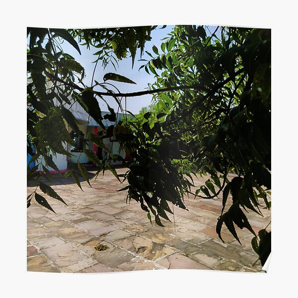 "Red Bubble,Art design work, Nature photography,new innovative ...