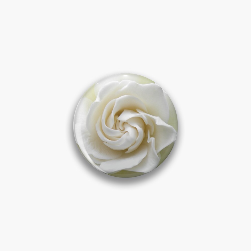 "White Gardenia " Sticker for Sale by VanyGo | Redbubble