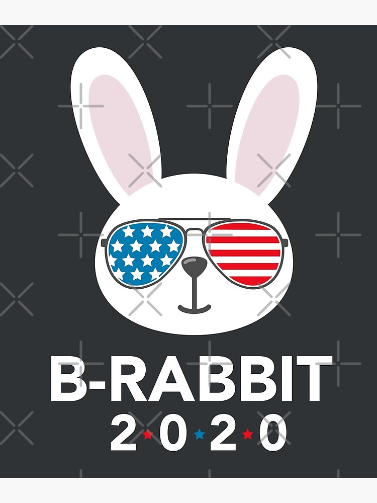 "Biden Rabbit B-Rabbit Shady Records Eminem Funny Viral Meme 8 Mile ...