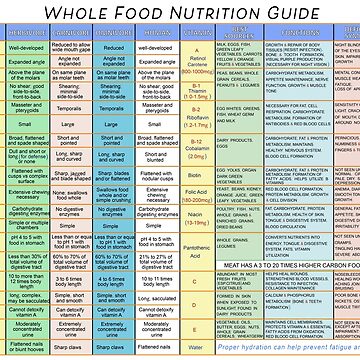 "Whole Food Nutrition Guide" Poster for Sale by heartsforlove | Redbubble