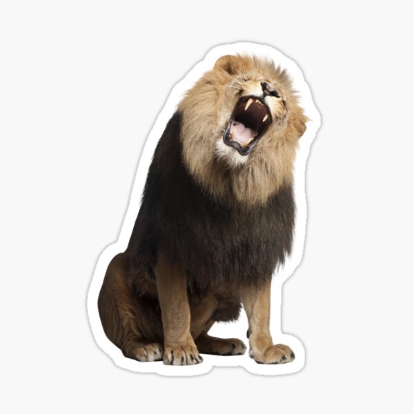 "Roaring lion" Sticker by chark70 | Redbubble