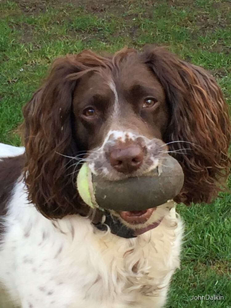 "Brock and rugby ball" Sticker for Sale by JohnDalkin | Redbubble