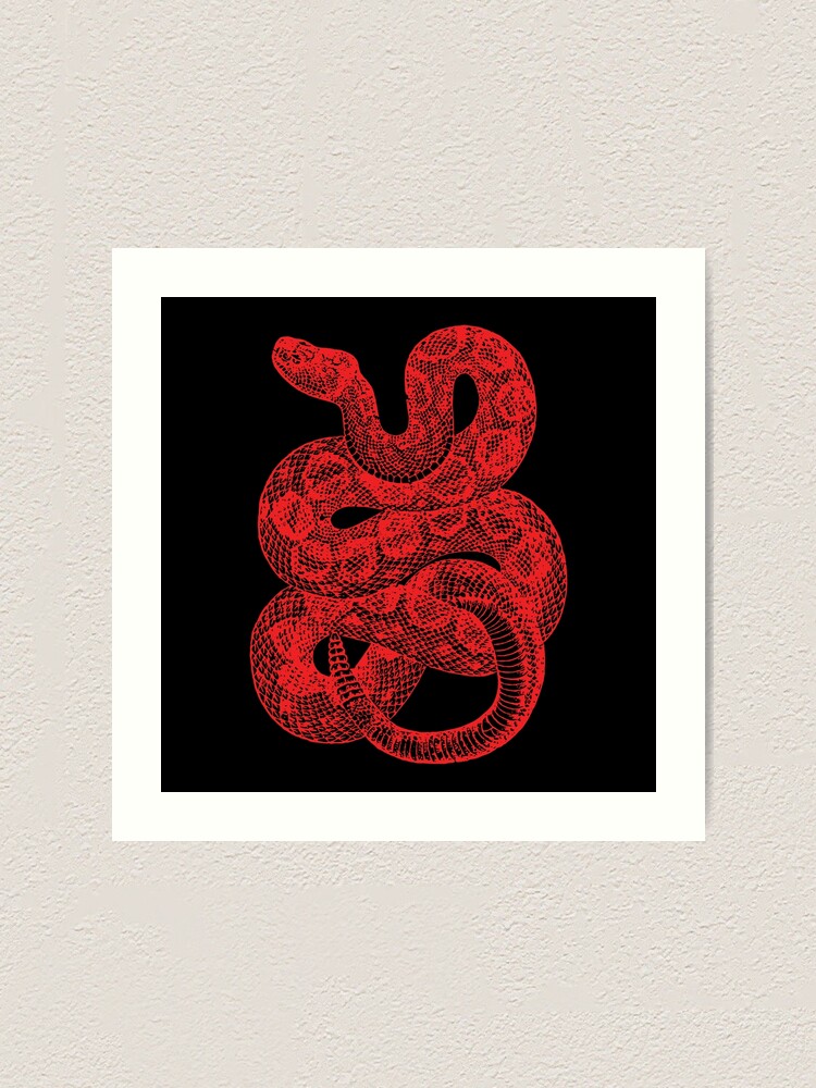 "Red Rattlesnake Engraving gift for Snake Owner" Art Print for Sale by ...