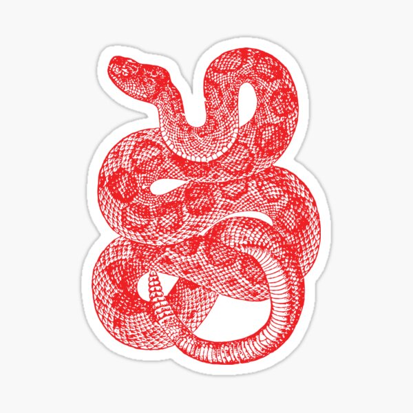 "Red Rattlesnake Engraving gift for Snake Owner" Sticker for Sale by ...