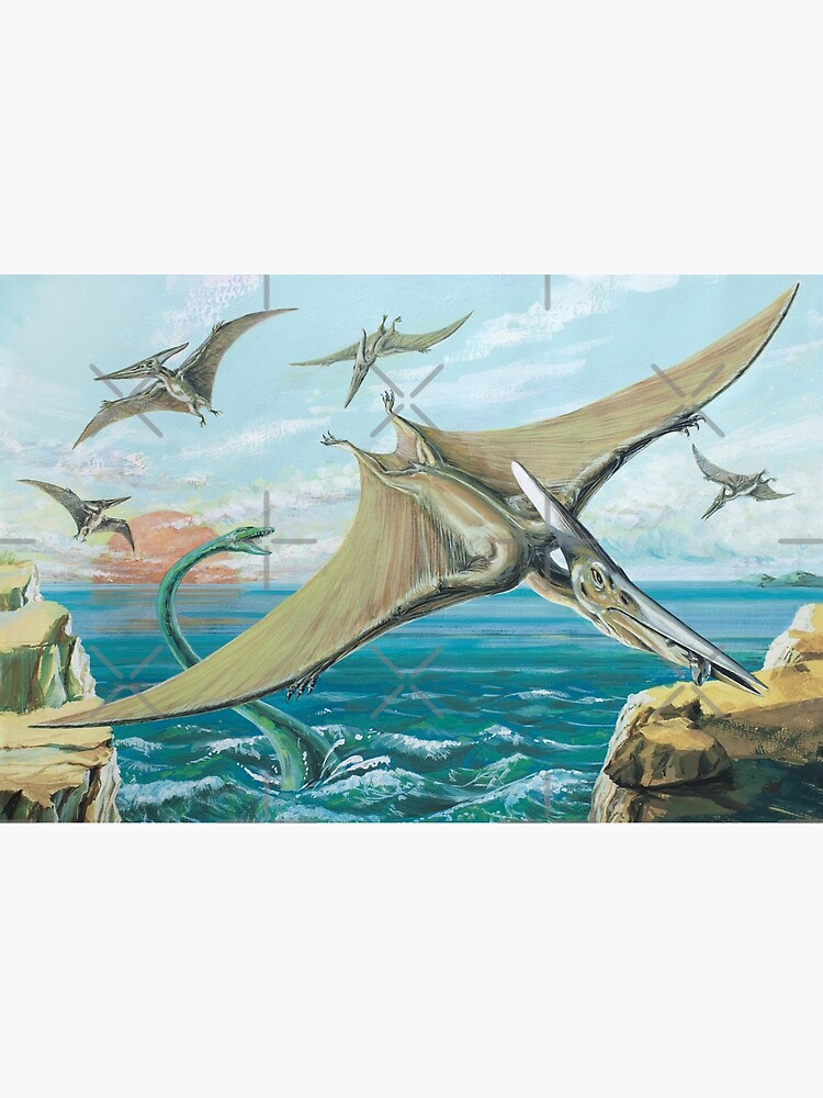 "Pteranodon" Poster by lewisroland | Redbubble