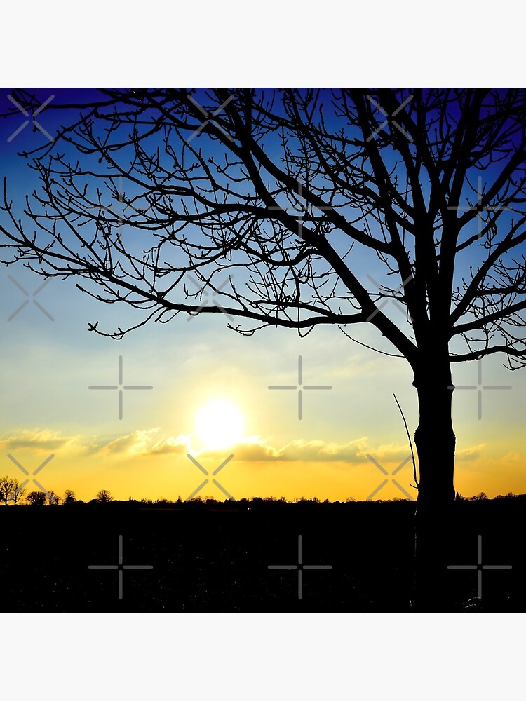 "Silhouette Baum des Lebens - eine schöne blaue und gelbe ...