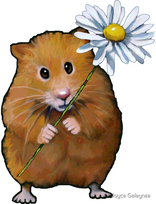 Hamster: Stickers | Redbubble