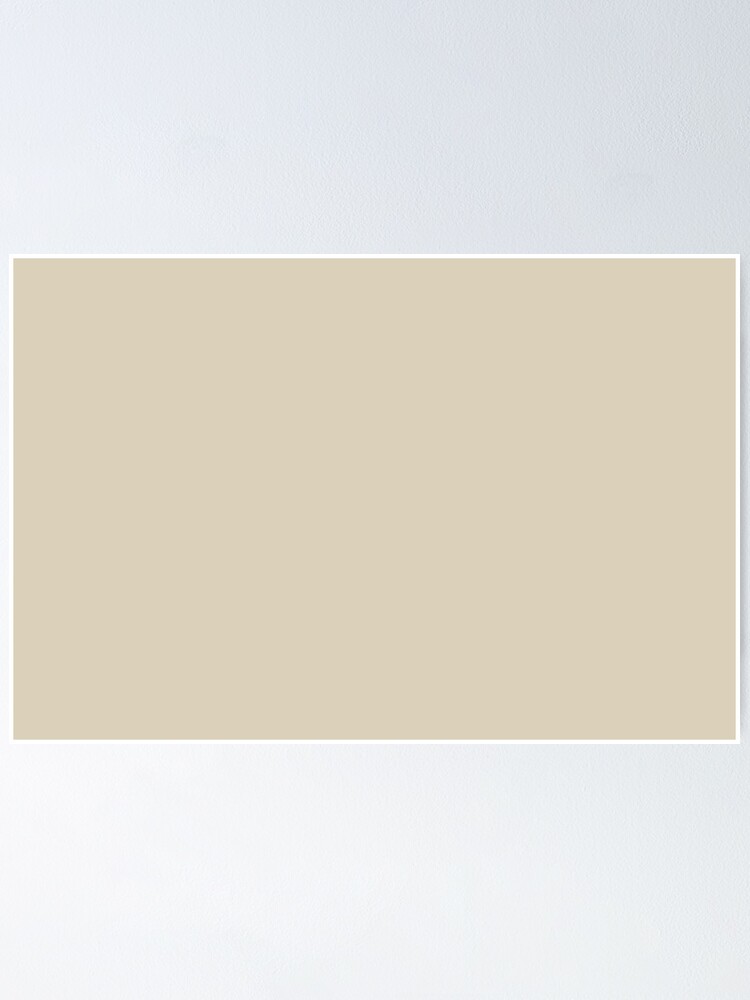 "Eternal Comfort Light Tan Solid Color Pairs To Sherwin Williams Rice ...