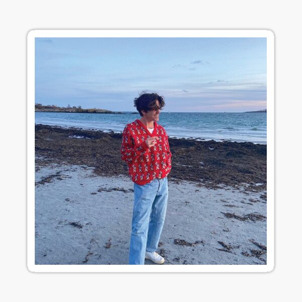 "Role model" Sticker for Sale by Dkderosa | Redbubble