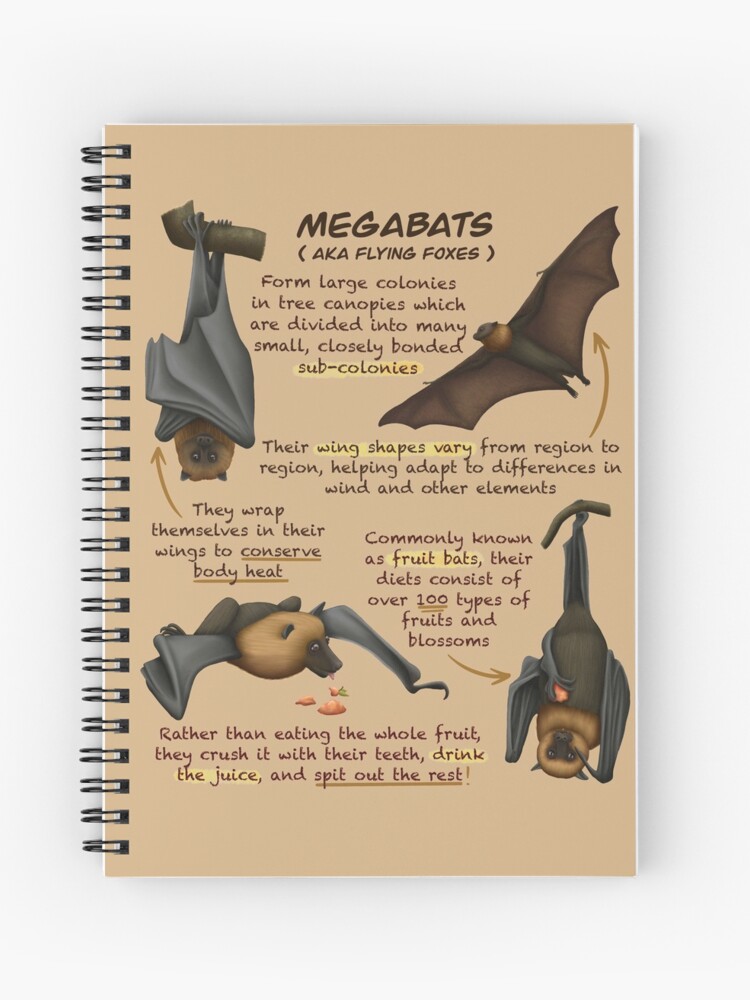 "Megabat Fun Animal Fruit Bat Facts" Journal for Sale by troyanthonyart ...