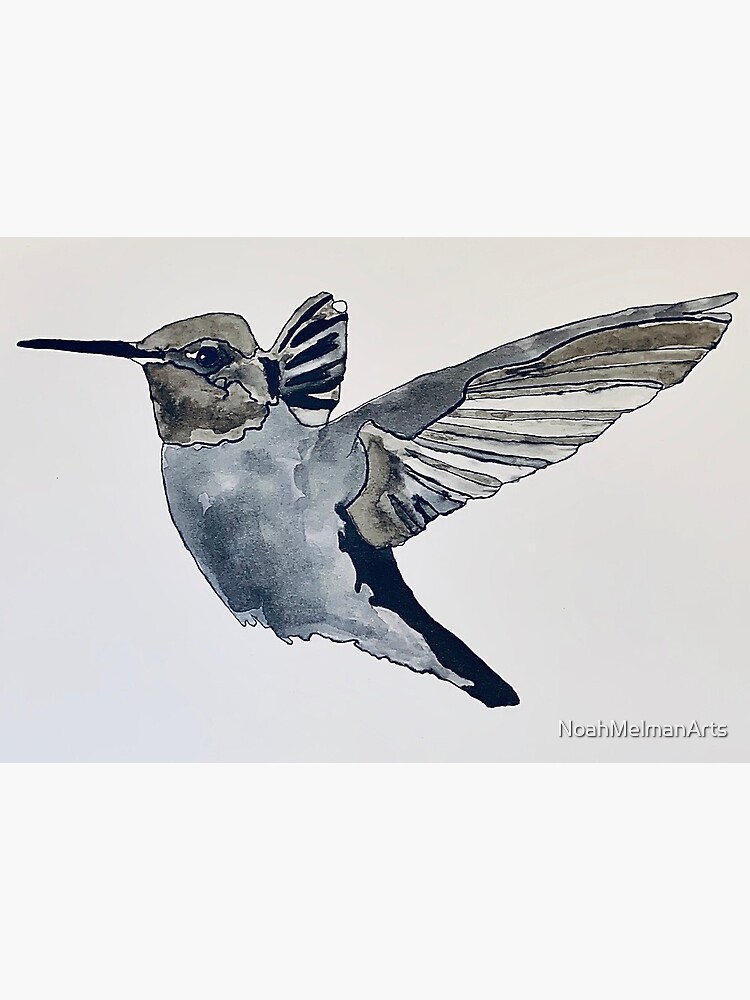 "Pen and ink hummingbird" Framed Art Print for Sale by NoahMelmanArts ...