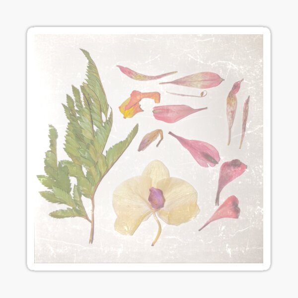 "Collective Comfort - Faded" Sticker by APCHAUart | Redbubble