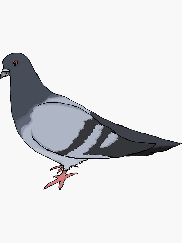 "Pigeon" Sticker for Sale by mossyspacerock | Redbubble