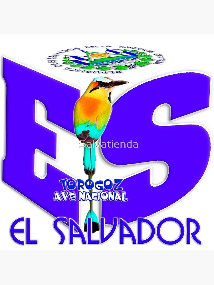 "Torogoz ave nacional " Art Print by Salvatienda | Redbubble