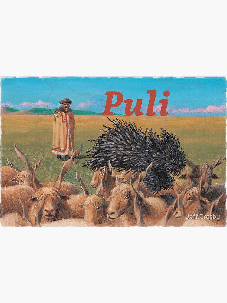 "Dog Breed - the Puli" Sticker for Sale by Jeff Crosby | Redbubble