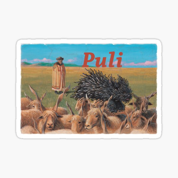 "Dog Breed - the Puli" Sticker for Sale by Jeff Crosby | Redbubble