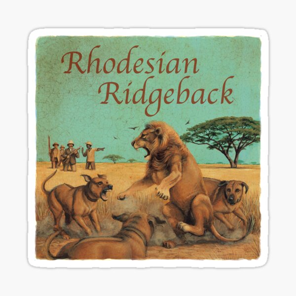 "Dog Breed - the Rhodesian Ridgeback" Sticker for Sale by Jeff Crosby ...