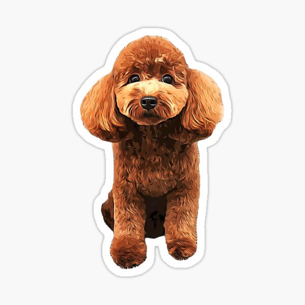 "Mini Toy Poodle Cute Puppy Dog" Sticker for Sale by Elarex | Redbubble