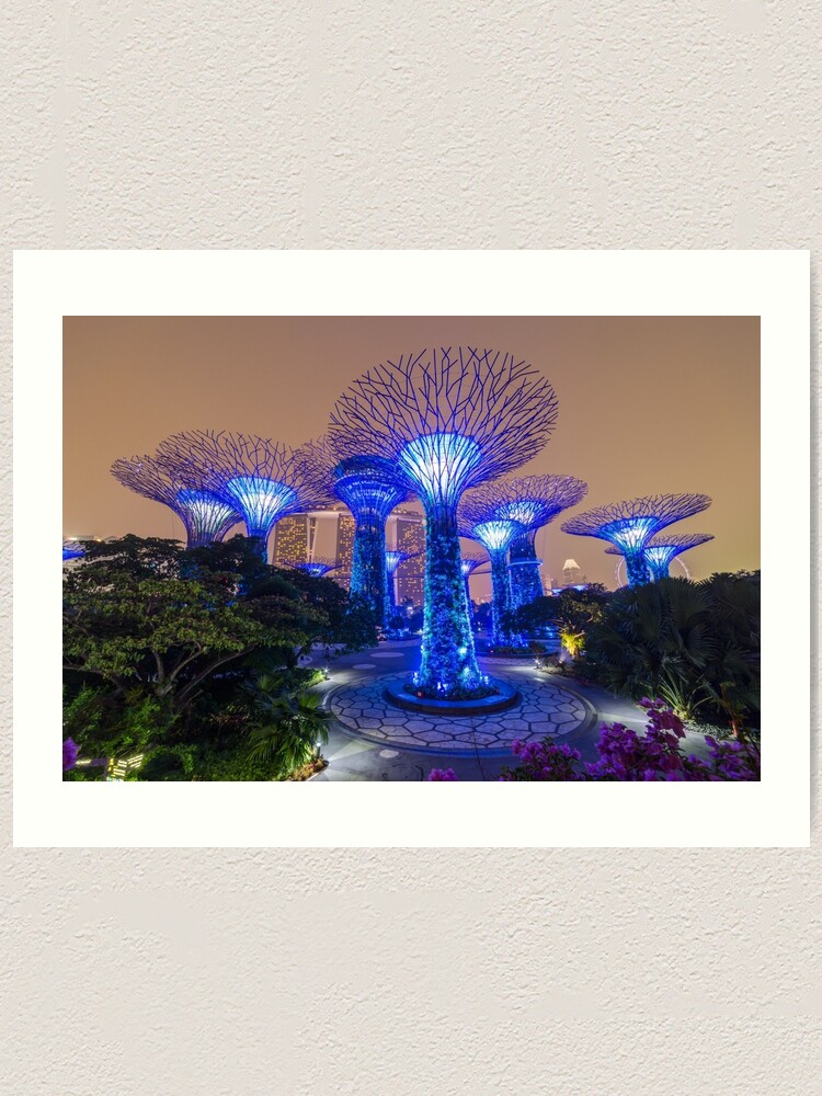 "Supertree Grove in Gardens by the Bay, Singapore " Art Print by ...