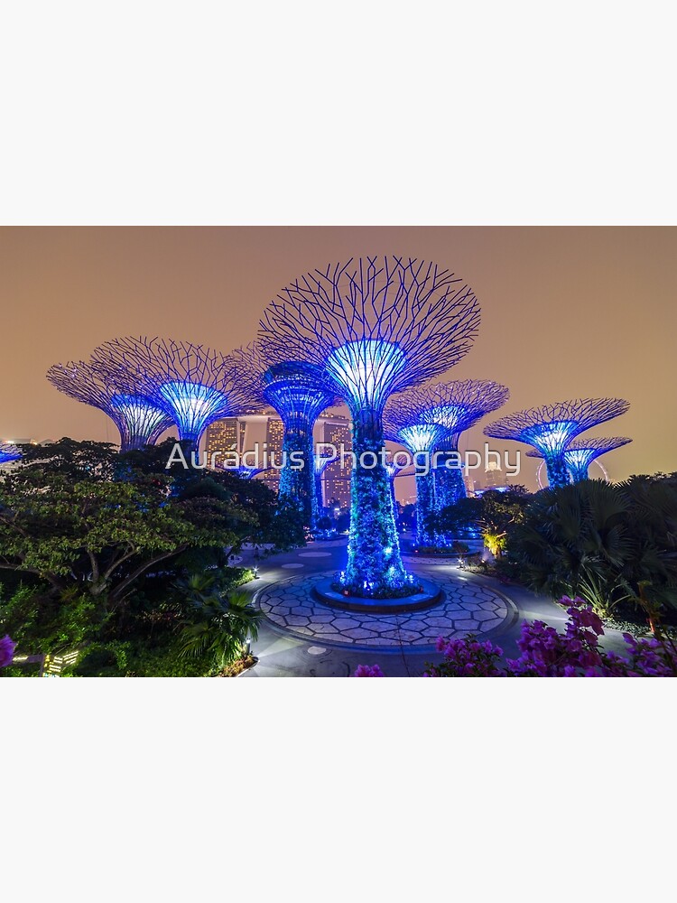 "Supertree Grove in Gardens by the Bay, Singapore " Art Print by ...