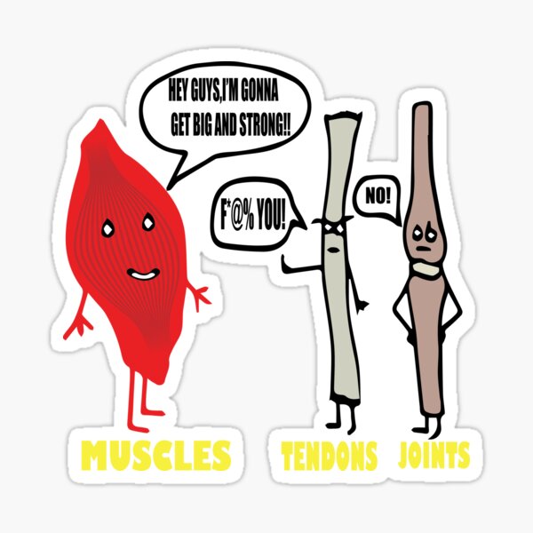 "Muscles,Tendons,Joints" Sticker for Sale by Fattofit | Redbubble