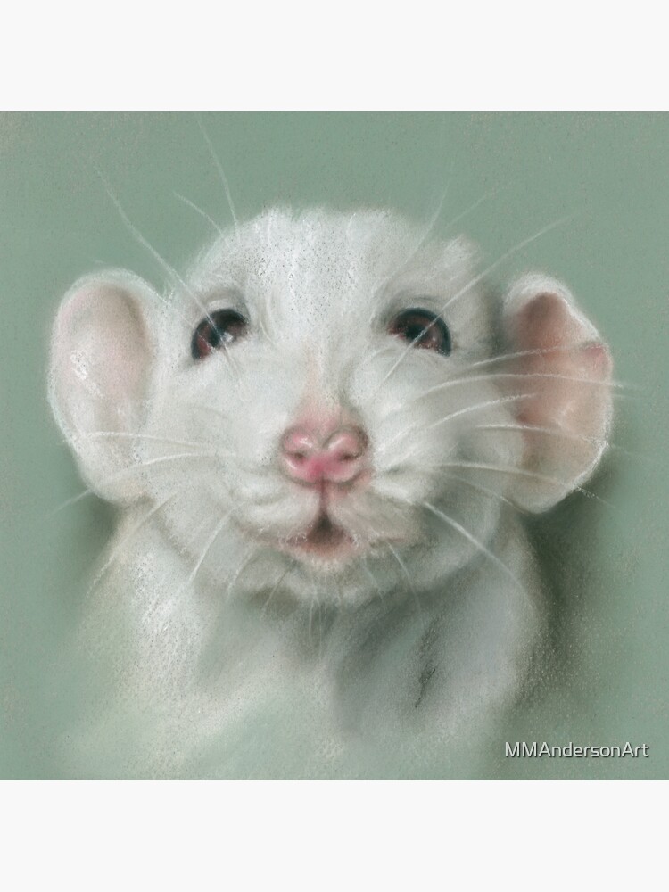 "Sweet Faced White Rat Pet Portrait" Sticker by MMAndersonArt | Redbubble
