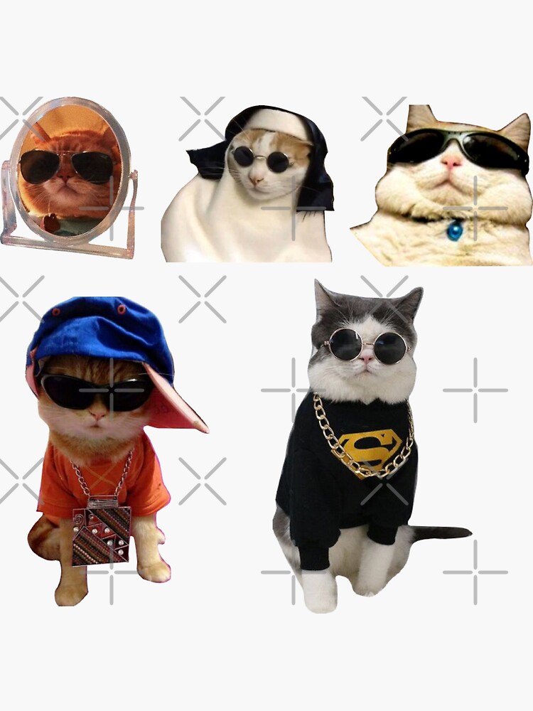 "Cats with Sunglasses Cat Memes" Sticker for Sale by amyshiroi | Redbubble