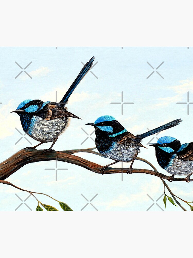 "Fairy Wrens - The Blues Brothers" Sticker for Sale by LindArt1 | Redbubble