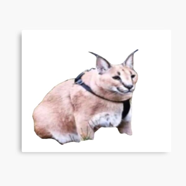 "BIG Floppa" Canvas Print for Sale by arsenaa | Redbubble