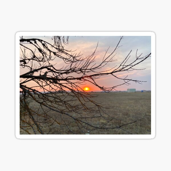 "Branches" Sticker for Sale by CorbinsCorner | Redbubble