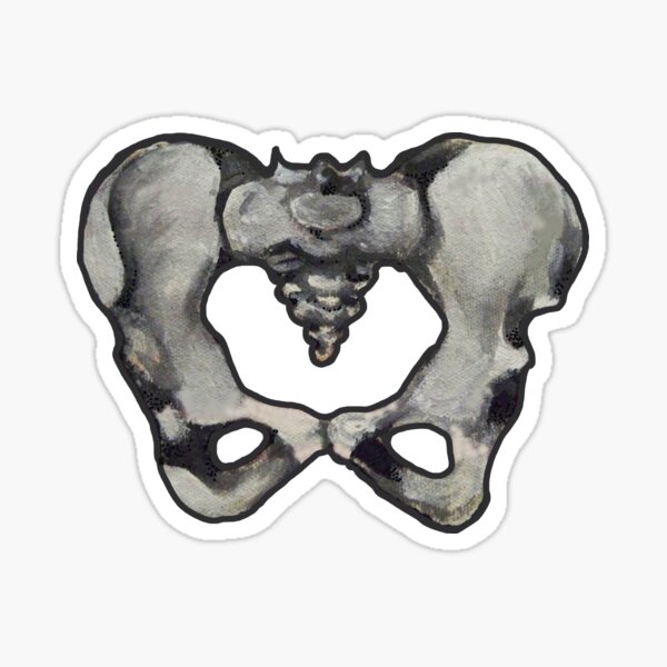 "Pelvis Friend" Sticker by Angrysheepie | Redbubble