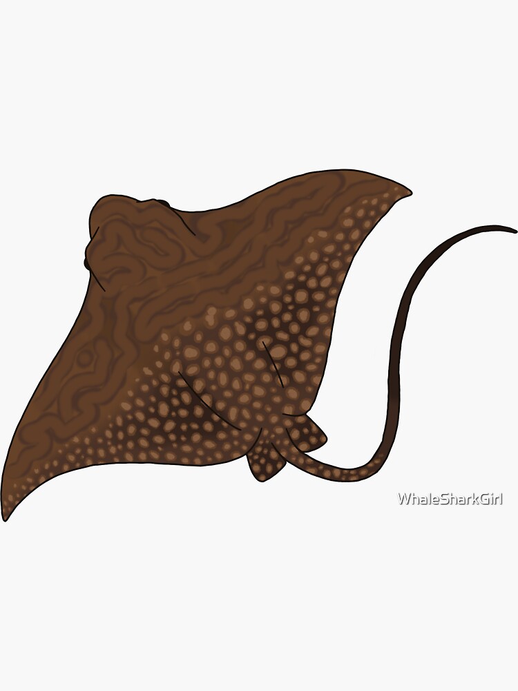 "Ornate eagle ray" Sticker for Sale by WhaleSharkGirl | Redbubble