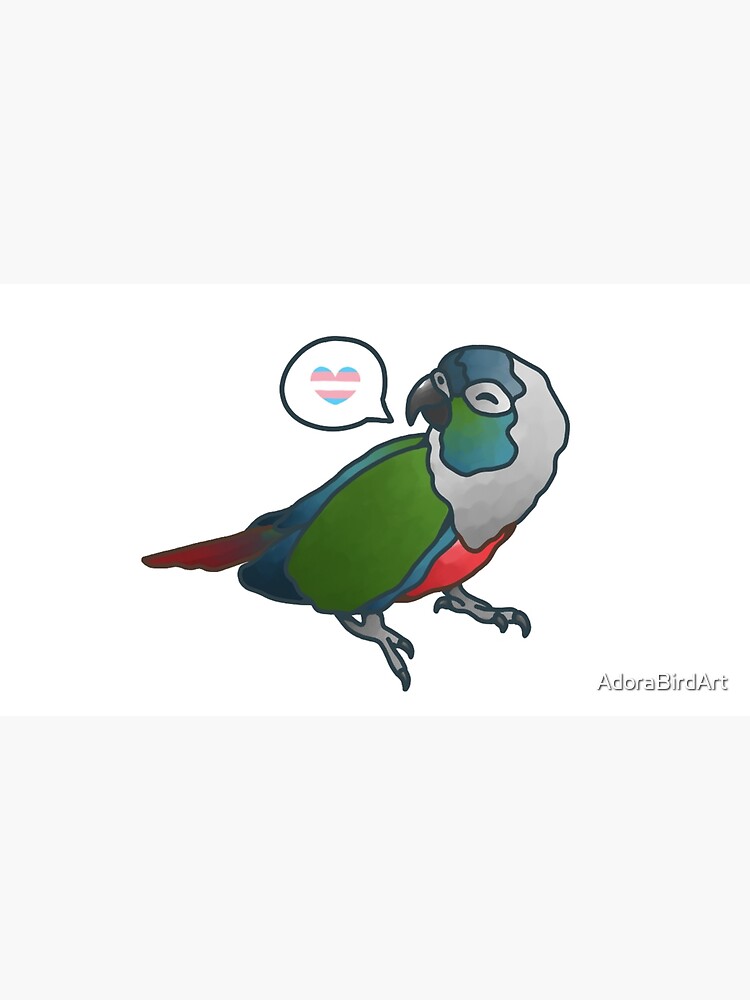 "Trans Supportive Conure" Poster by AdoraBirdArt | Redbubble