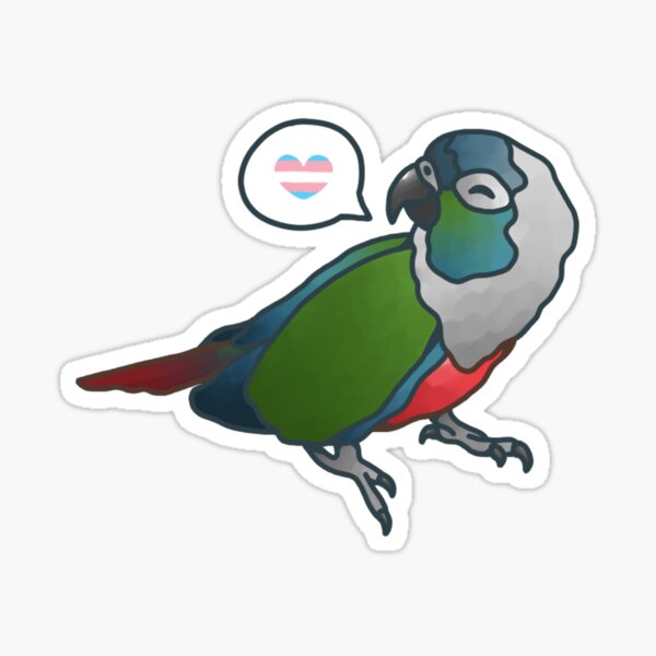 "Trans Supportive Conure" Sticker for Sale by AdoraBirdArt | Redbubble