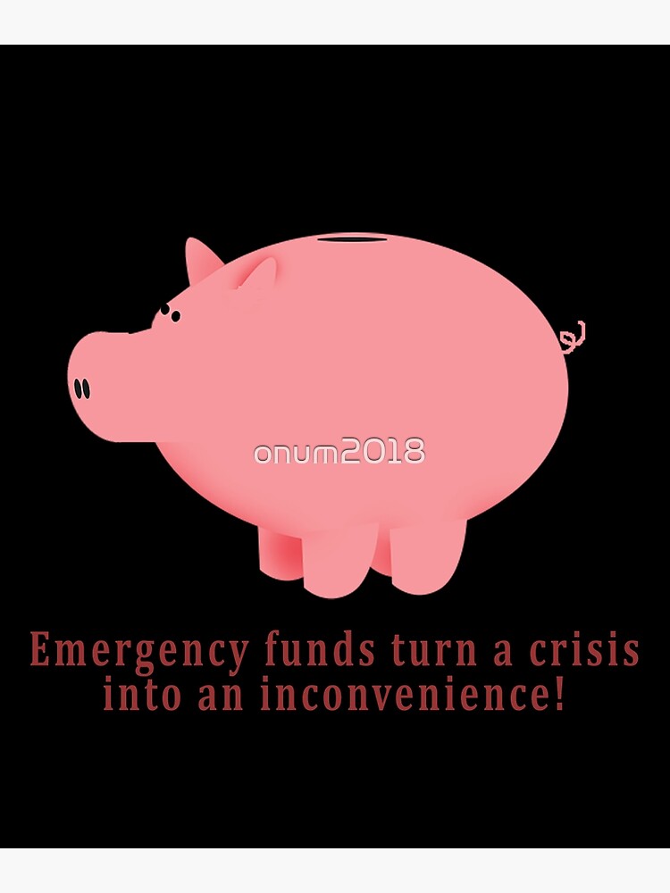 "Emergency funds turn a crisis into an inconvenience!" Poster for Sale ...
