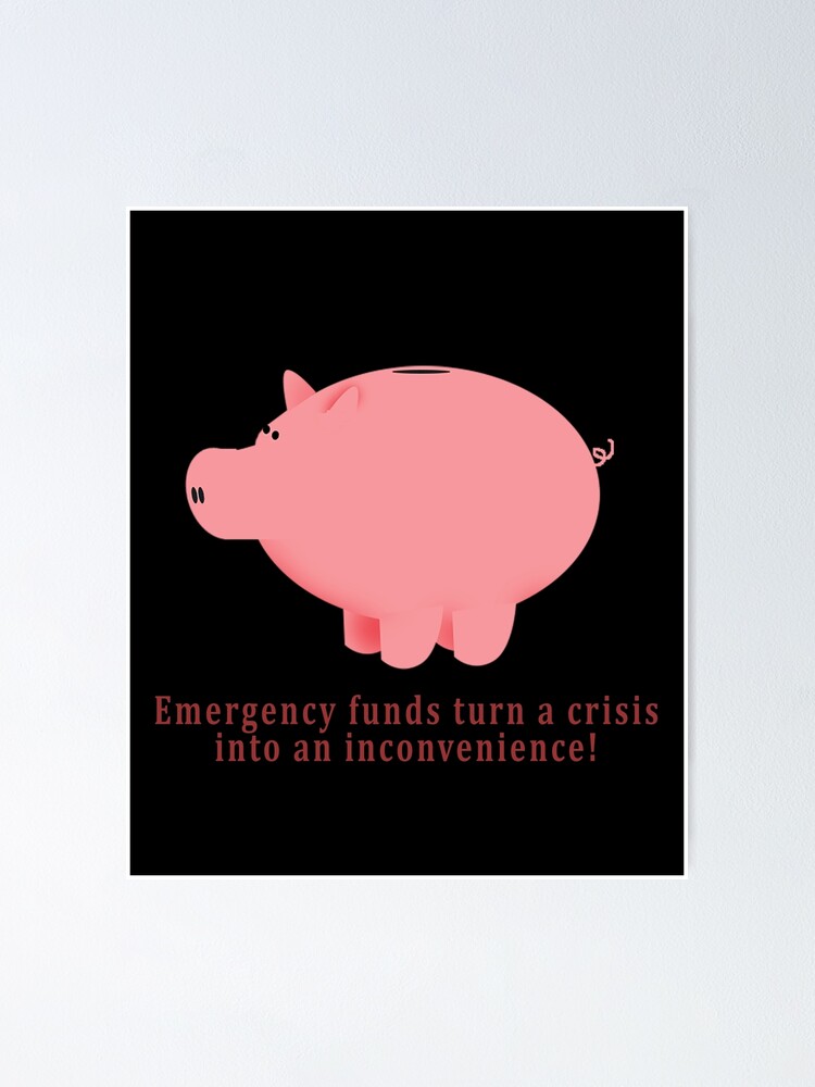 "Emergency funds turn a crisis into an inconvenience!" Poster for Sale ...