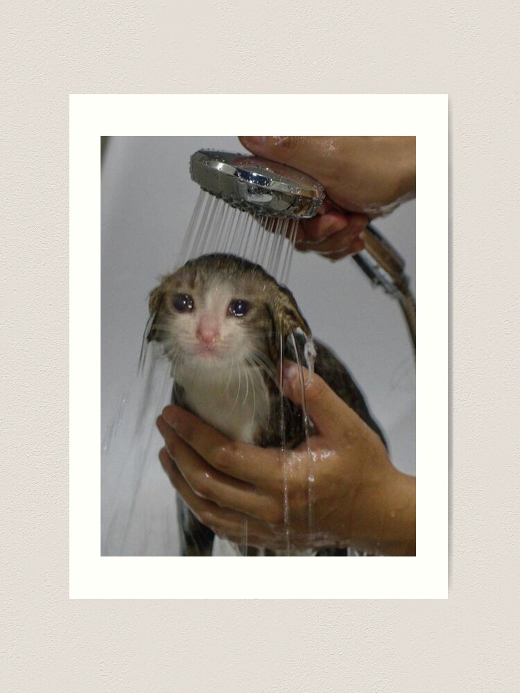 Sad Cat Shower