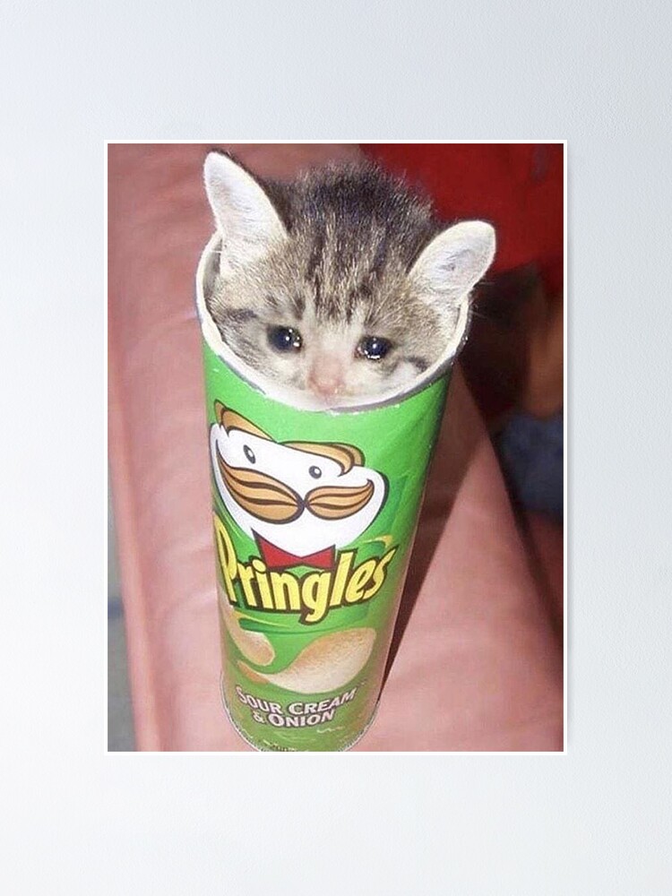 "sad cat stuck in chip can" Poster for Sale by cheapfan | Redbubble
