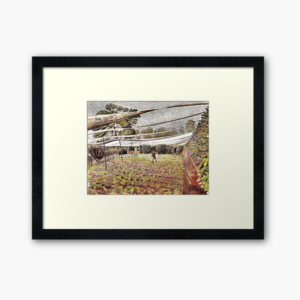 "Strawberry Nets artwork by Eric Ravilious" Framed Art Print by ...