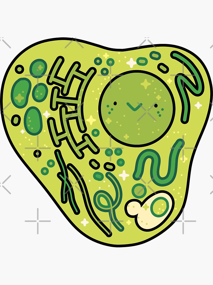 "Animal cell" Sticker by SilAchan | Redbubble