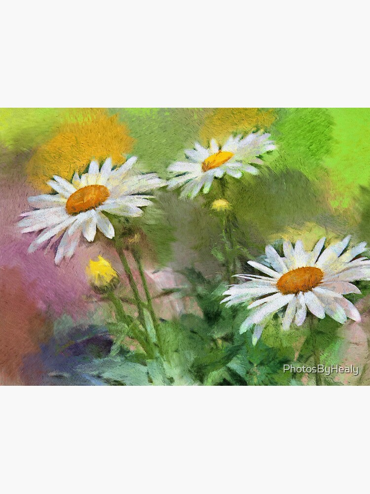 "Oxeye daisies - painted" Sticker for Sale by PhotosByHealy | Redbubble