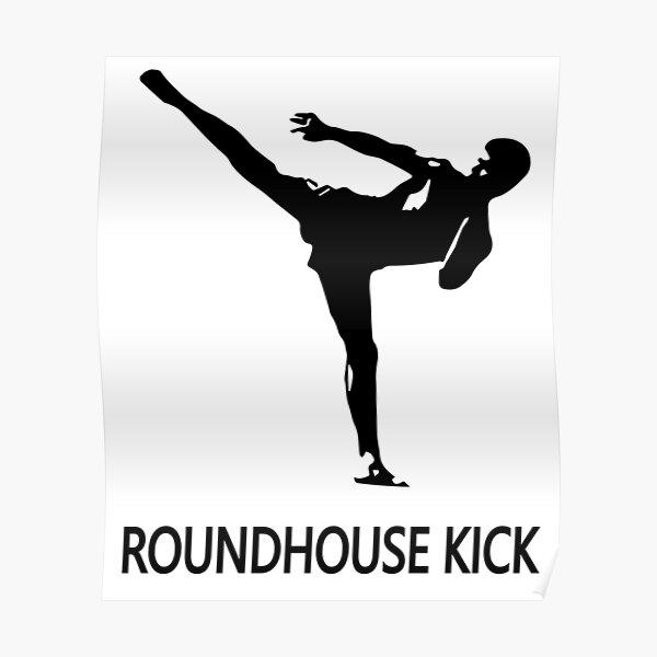 "Roundhouse Kick MMA kickboxing" Poster by Zimmy1993 | Redbubble