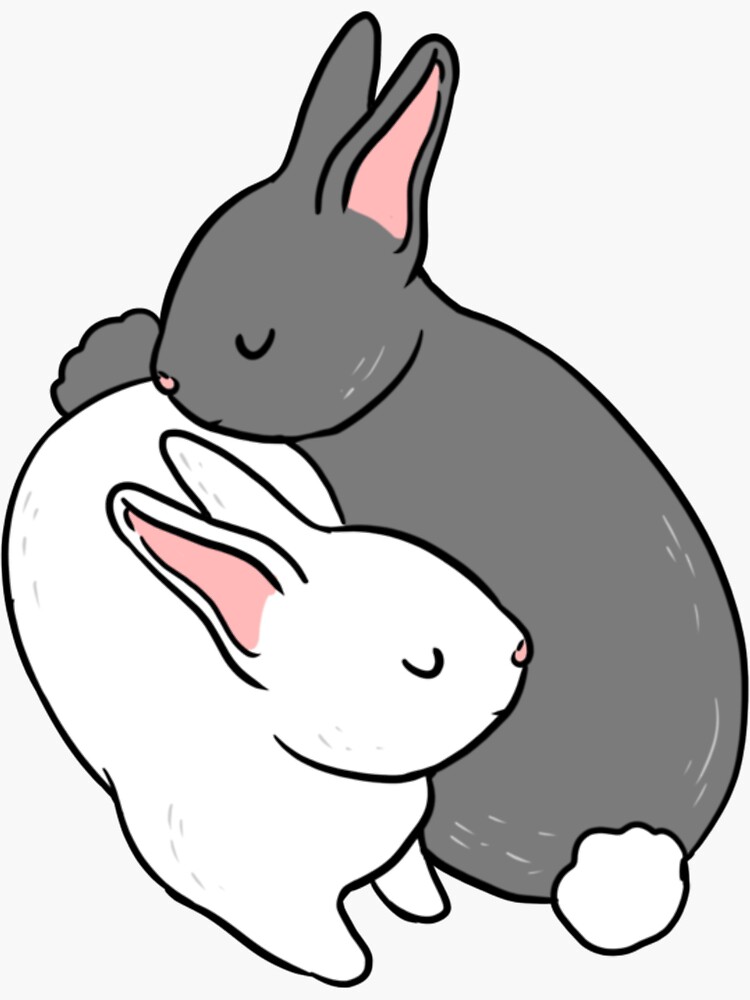 "Yin Yang Bunnies Rabbit" Sticker for Sale by Odell-Huff-4786 | Redbubble