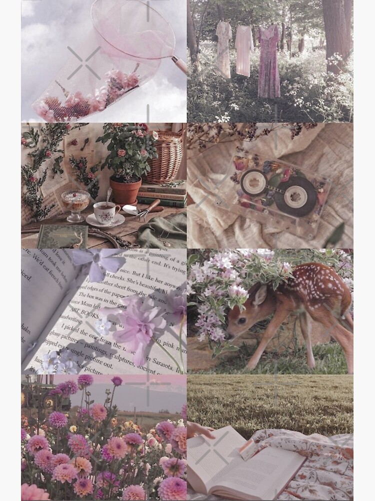 "Cottagecore mood board" Sticker by Mounalessnight | Redbubble