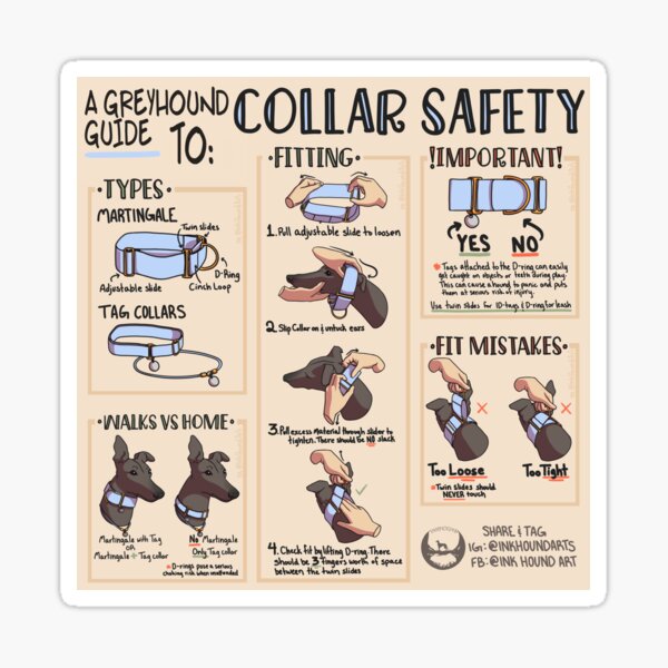 "Martingale Collar Safety Guide" Sticker for Sale by InkHoundArt ...