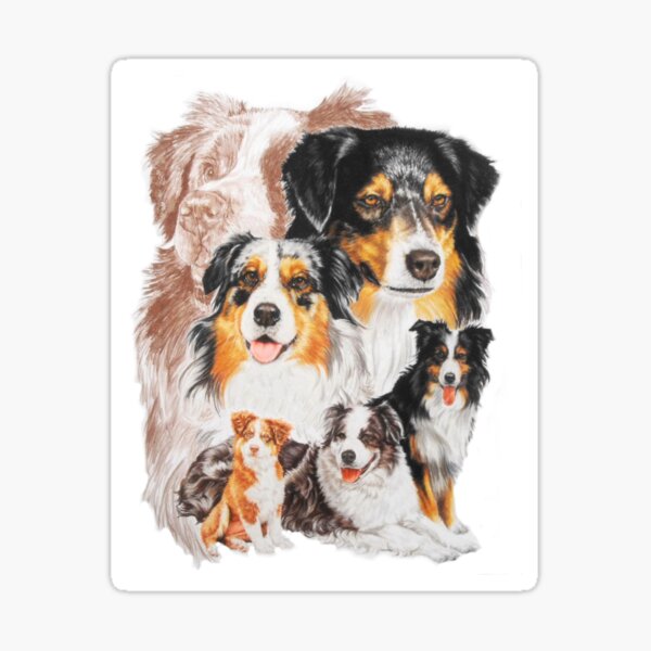 "Australian Shepherd Revamp" Sticker for Sale by BarbBarcikKeith ...