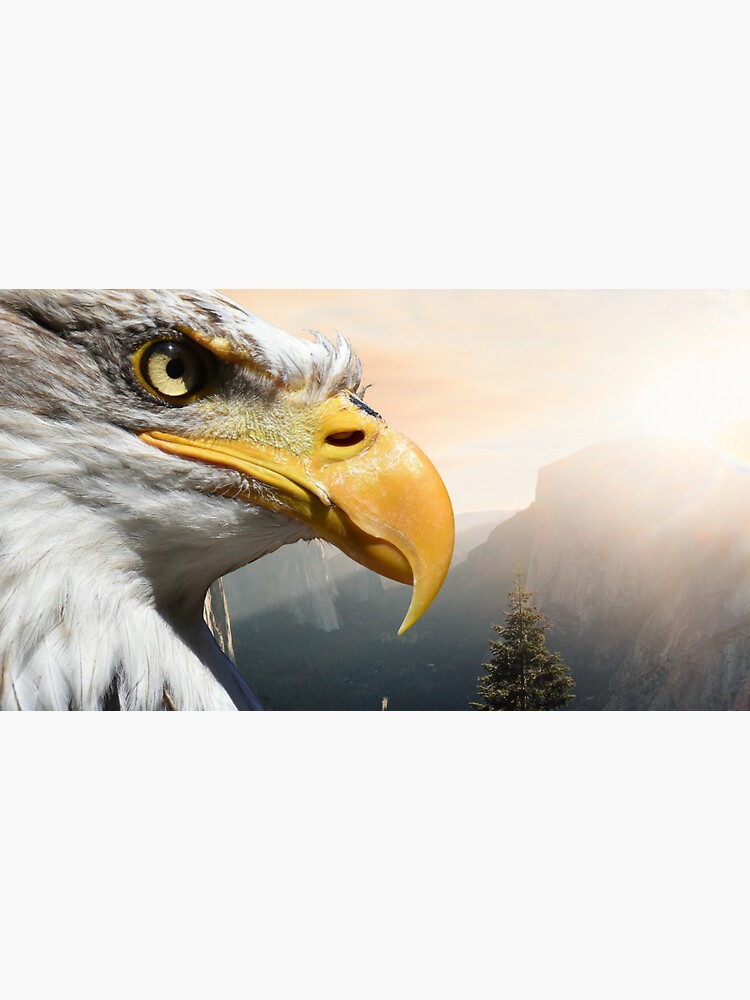 "Stalker" Sticker by Amohamad | Redbubble