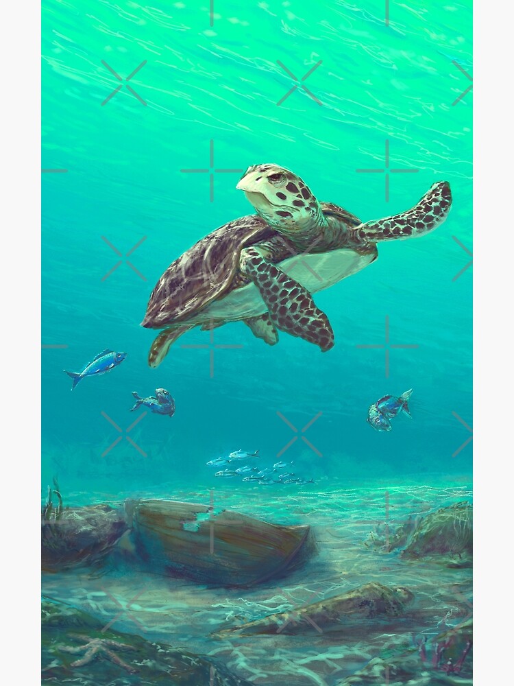 "Sea turtle" Poster for Sale by TheYun77 | Redbubble